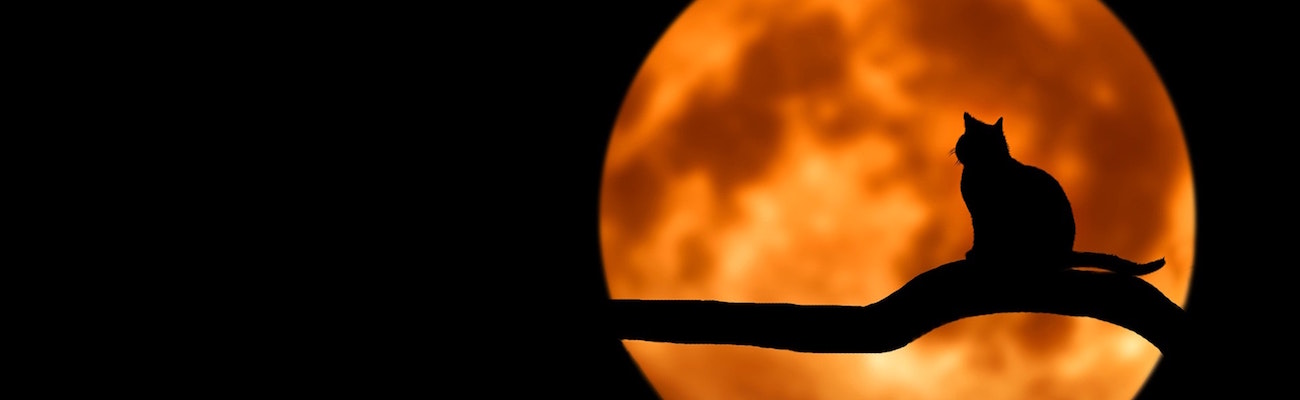 How Much Does the Average American Spend on Halloween? | LendEDU